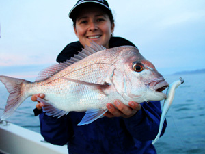 Don't Count The Year Away Just Yet - The Beast