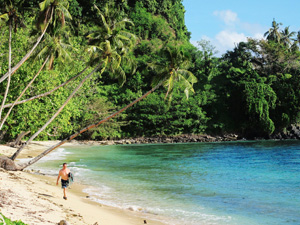 Samoa... An Island In The Sun - The Beast