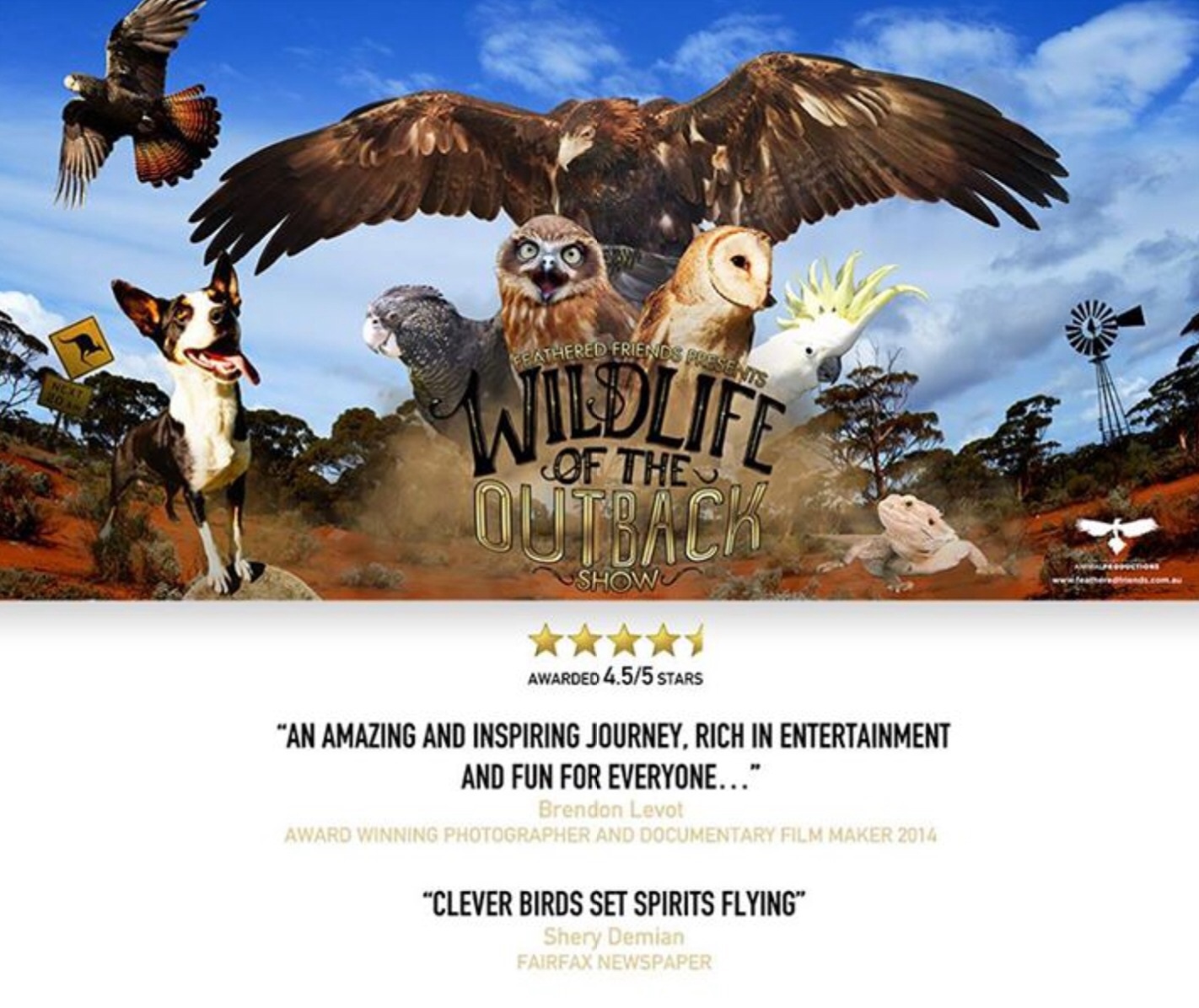 Wildlife of the Outback - The Beast