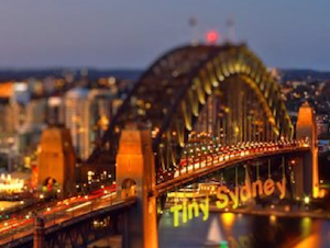 Video of the Week - Tiny Sydney - The Beast