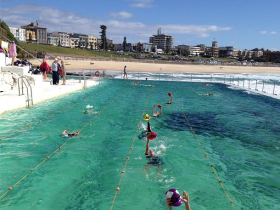 MSA Swimming - Term 4 - The Beast