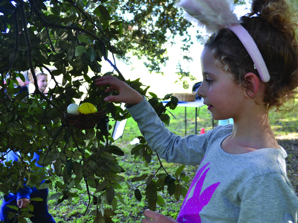 Easter Bunny's Workshop - The Beast